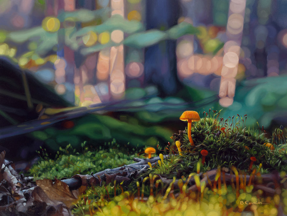 B. Cormier Fine Art