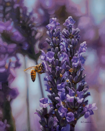 Open Edition Prints – B. Cormier Fine Art